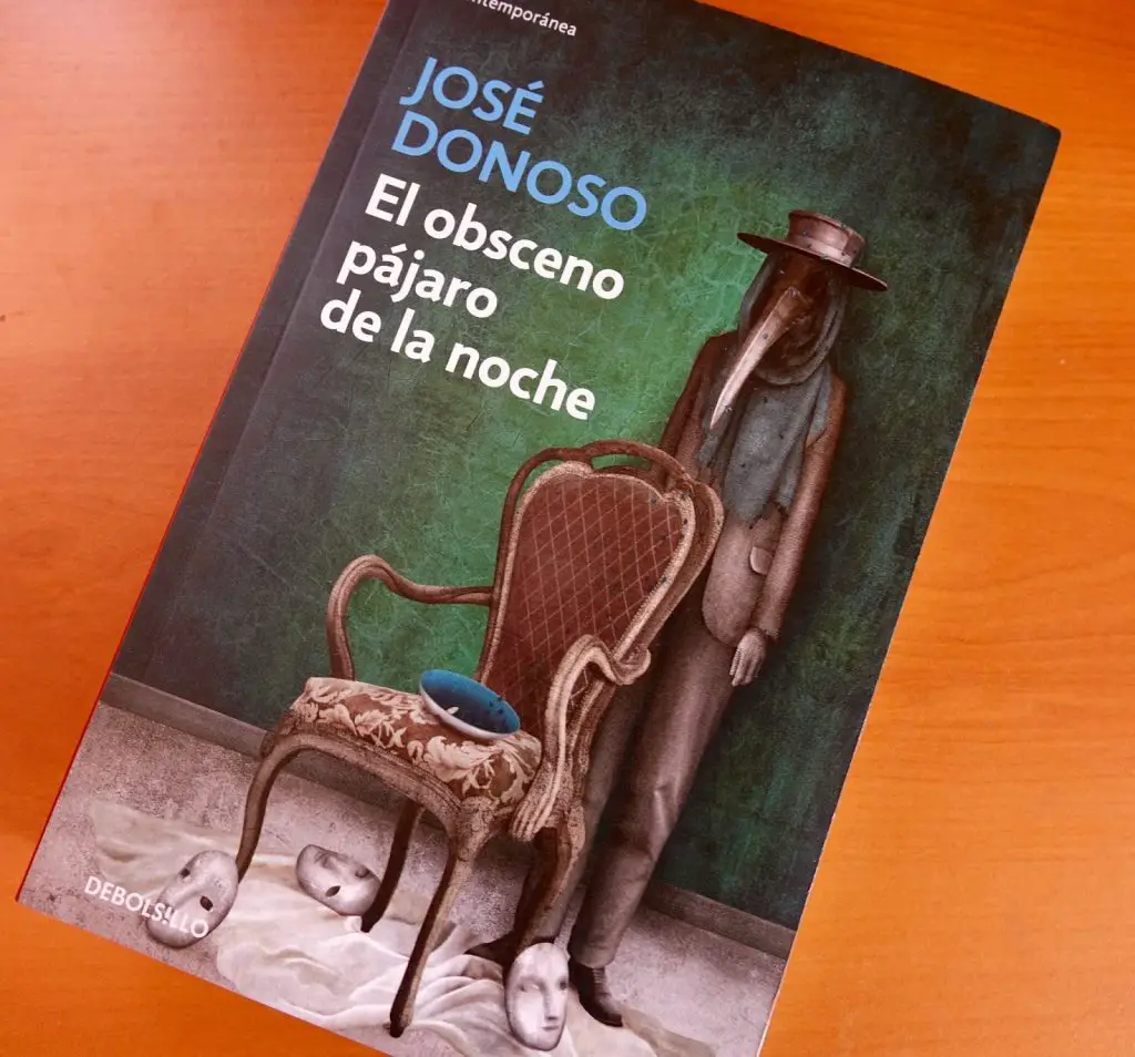 El obsceno pájaro de la noche: Resumen, y todo lo que se desconoce