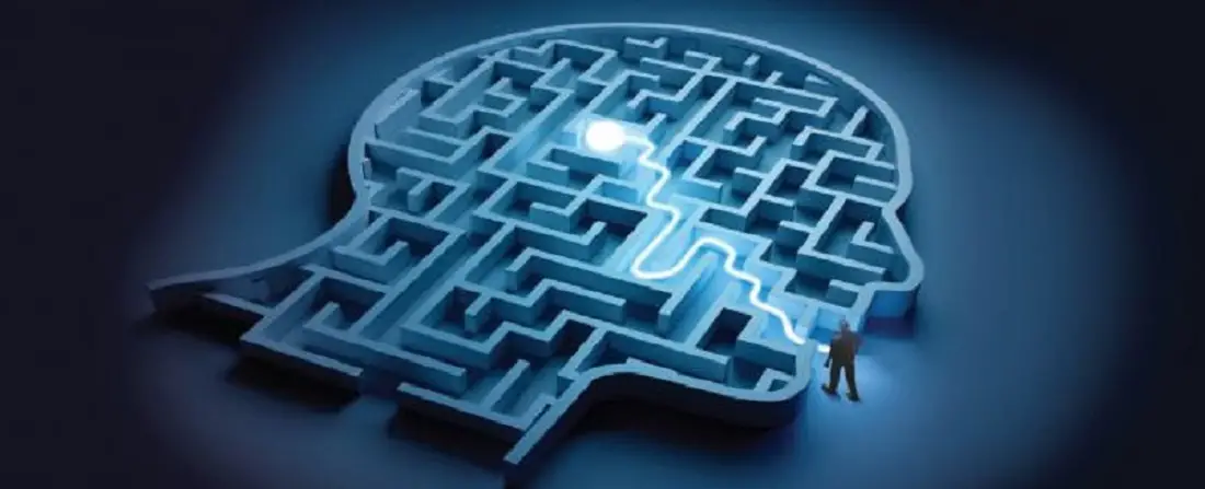 PSICOLOGÍA EXPERIMENTAL, CÓMO FUNCIONA ESTA DISCIPLINA